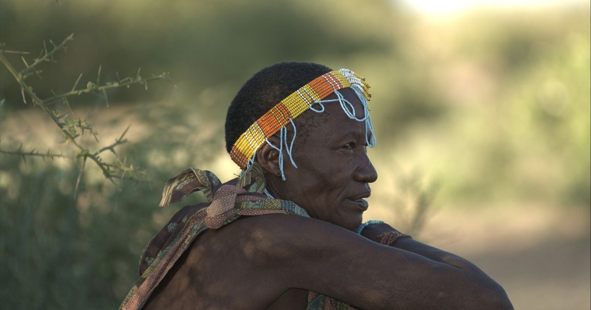 Grupy etniczne Tanzanii | Buszmeni | Shangrila
